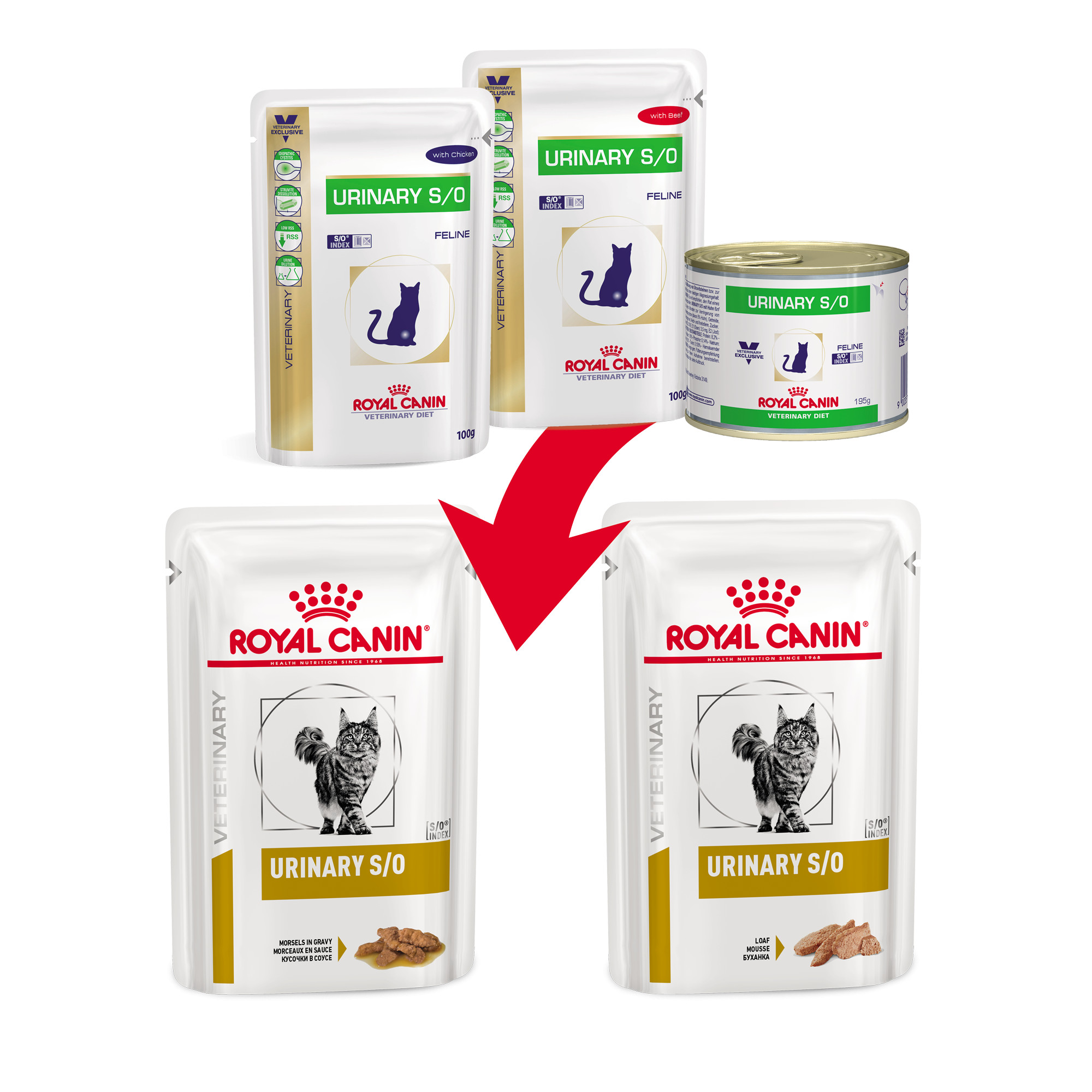 Royal Canin Veterinary Urinary S O Loaf Katzen Nassfutter
